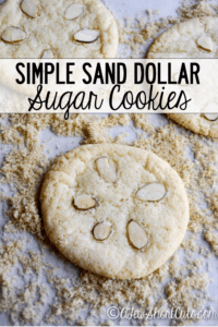 Simple Sand Dollar Sugar Cookies - A Few Shortcuts