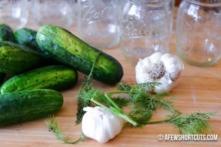 Homemade Garlic Dill Pickles Recipe - A Few Shortcuts