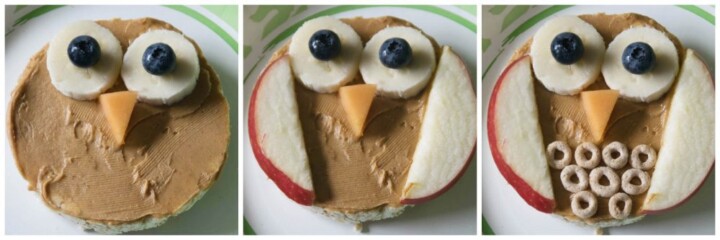 Owl Rice Cake Snacks - Lunchbox Fun - A Few Shortcuts