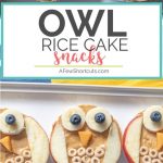 Owl Rice Cake Snacks - Lunchbox Fun - A Few Shortcuts