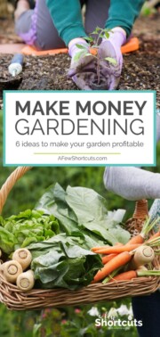 Make Money Gardening: 6 Ideas to Make Your Garden Profitable - A Few ...