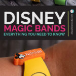 Disney Magic Bands: Everything You Need to Know! - A Few Shortcuts
