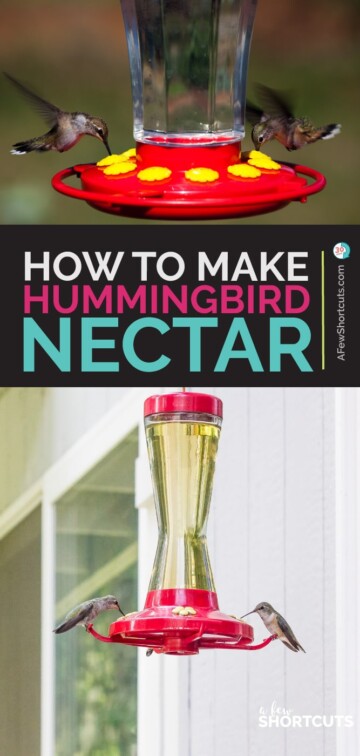 How to Make Hummingbird Nectar - A Few Shortcuts