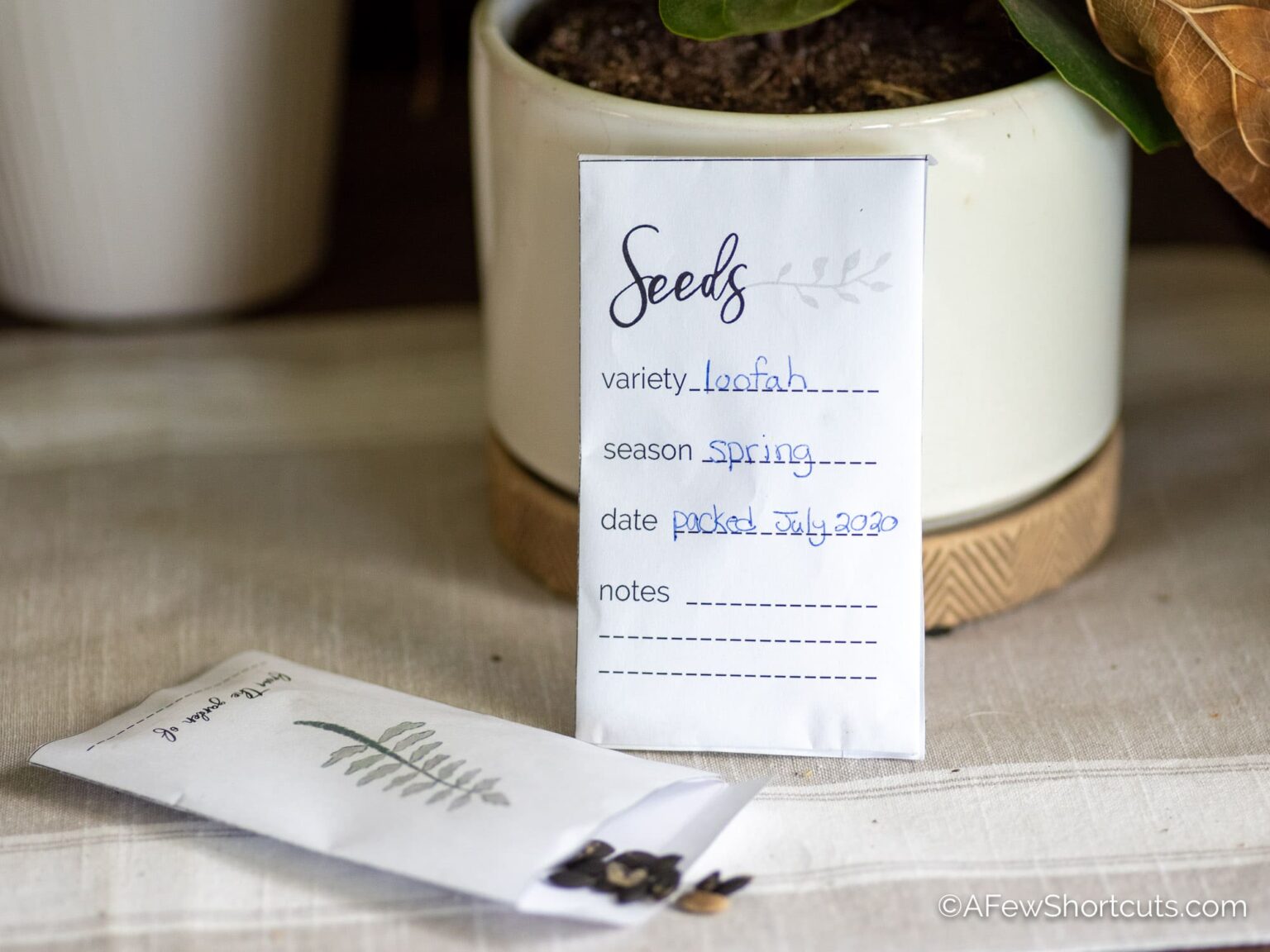 Printable Seed Packet Template & Tips for Storing Seeds - A Few Shortcuts